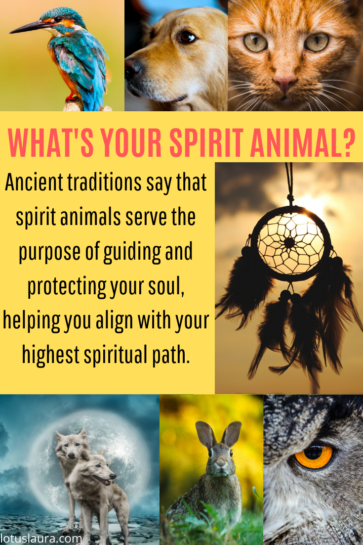What’s Your Spirit Animal? – Crystal Aura Gaze