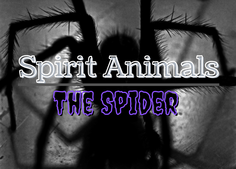 Spirit animal: Spider – Crystal Aura Gaze